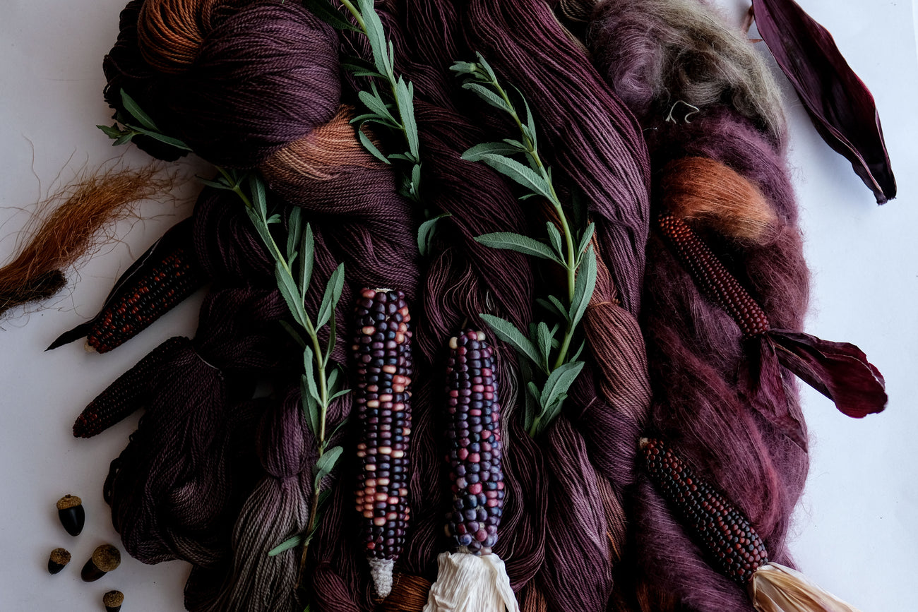 Autumn 2024: Abundant Harvest, Deepening Shadows