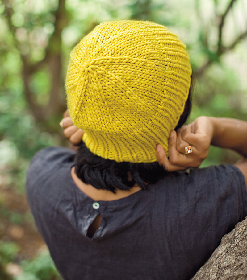 The Modern Natural Dyer: An Introduction to Dyeing Wool Yarn - Saturda